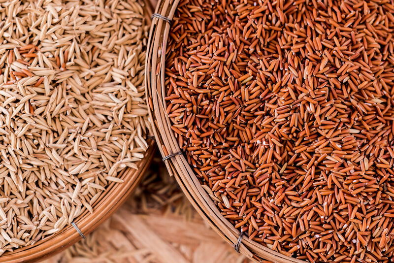 🌿Rote Hefe (fermentierter Reis) » Anwendung, Wirkung & Wirkstoffe